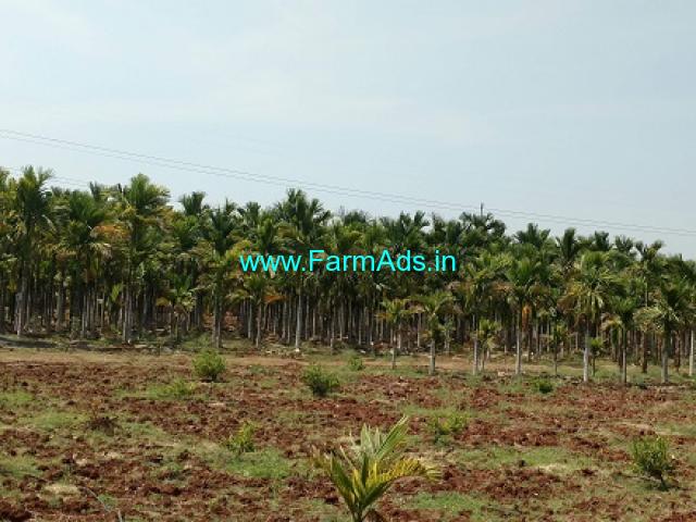 10 Acres Areca Farm for Sale at Hiriyur,Marikanive dam Hiriyur ...
