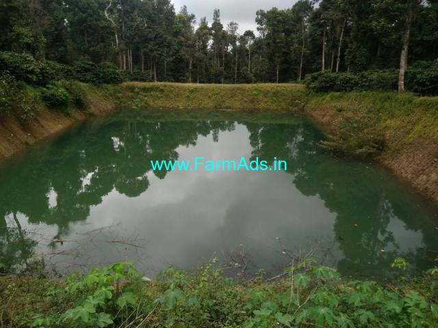 6 Acres Coffee Estate for sale at Arehalli, Belur in Hassan Belur ...