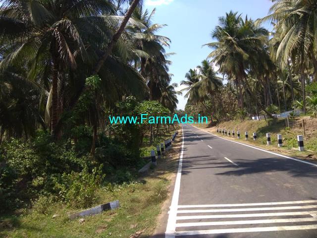 3 Acres Well Maintained Coconut Farm for Sale at Pollachi Pollachi ...