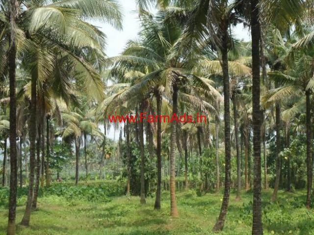 6 Acres Coconut Farm for sale in Chikkanayakanahalli - Tiptur Tiptur ...