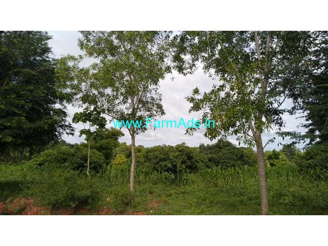 2 Acre Mango Thota For Sale in Bogadhi-Gaddige Route, Mysore Mysore ...