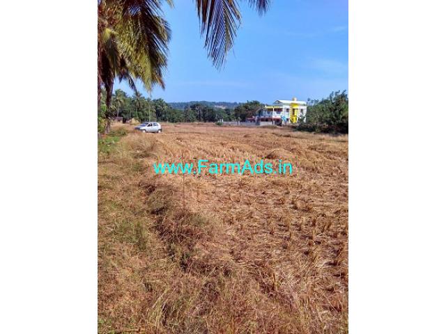 17 Cents Agriculture Land for Sale near Udupi Udupi - FarmAds.in