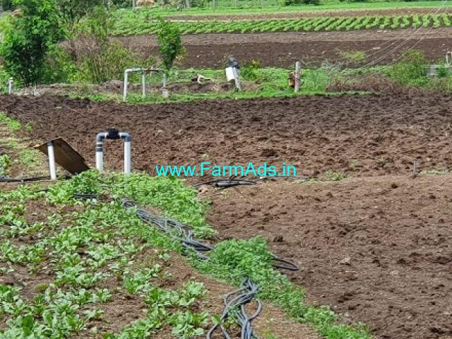 4 Acres 11 Gunta Coconut Farm for Sale near Chevella Chevella ...