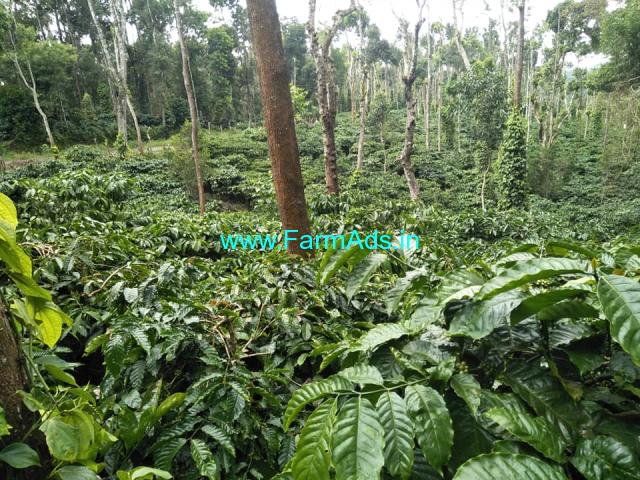 20 acre robusta plantation for sale in chikmagalur Chikmagalur ...