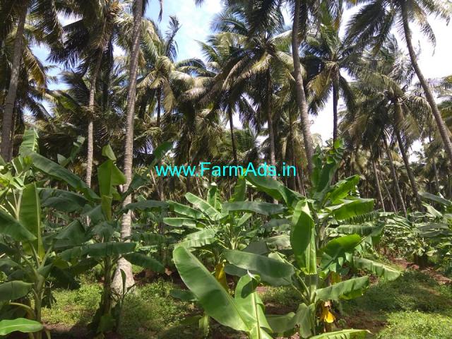 3.5 Acres river attached coconut farm for sale at Pollachi Pollachi ...