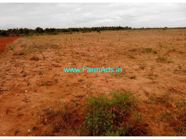 8.5 acre Agricultural Land for sale 6 Kms from Panchanahalli - Kadur ...