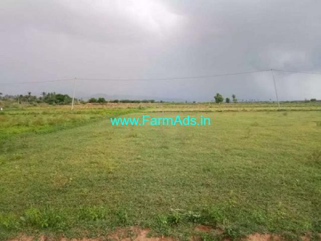6 Acres Paddy Field for Sale in Varadaiahpalem Chitoor - FarmAds.in