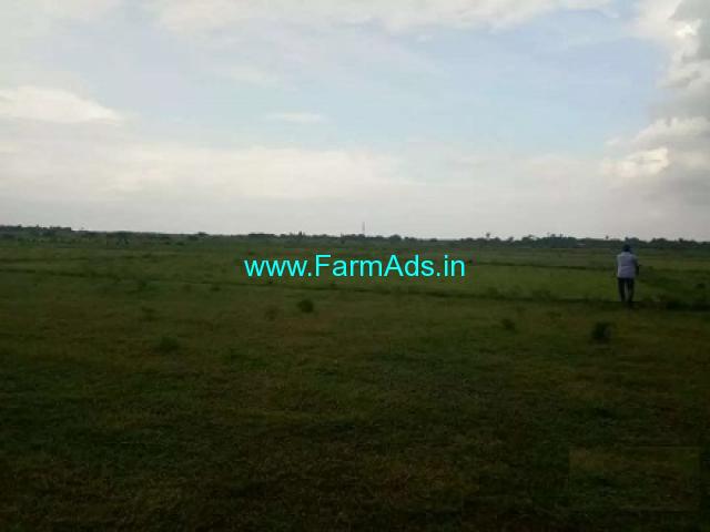 6 Acres Paddy Field for Sale in Varadaiahpalem Chitoor - FarmAds.in