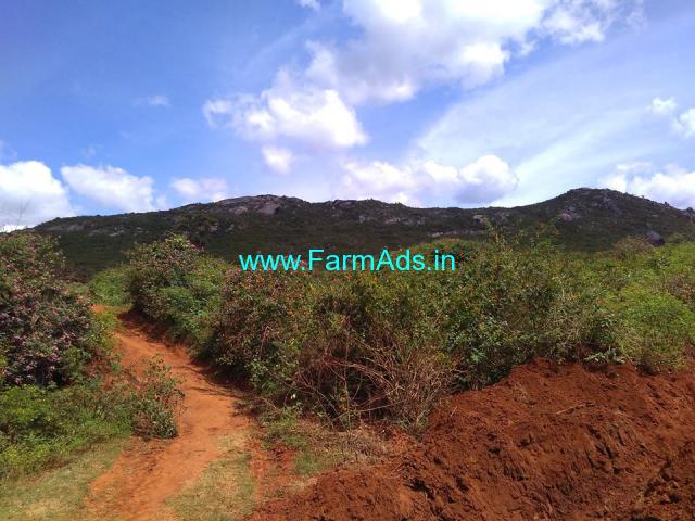 50 Acres Agriculture Land at Sargur, for SALE. Mysore Sargur - Mysore ...
