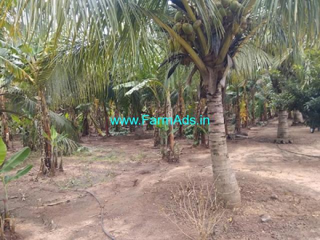 2.5 Acres Coconut Farm for sale near Pollachi Pollachi - Coimbatore ...