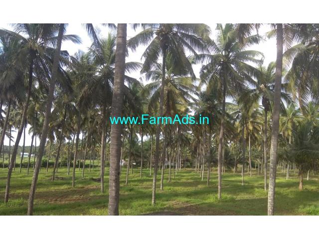 7 Acres COCONUT FARM FOR SALE at Pollachi Pollachi - Coimbatore ...