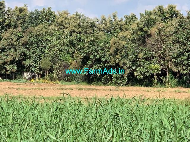 Small Farm Plots for Sale Near Hyderabad Hyderabad - FarmAds.in