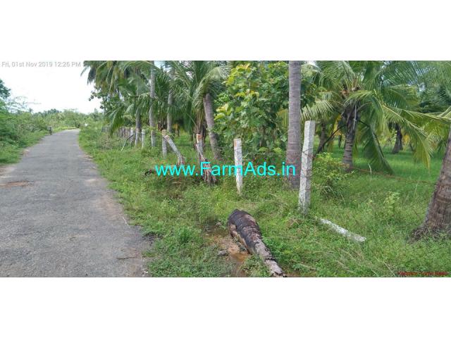 4 Acres Coconut farm for sale at Nadupatti, Pudukottai near Tanjavur ...