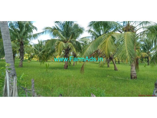 4 Acres Coconut farm for sale at Nadupatti, Pudukottai near Tanjavur ...