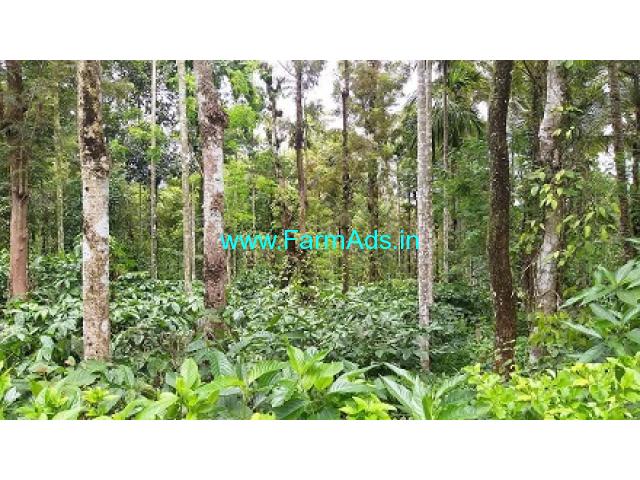 1 Acre Coffee Estate for Sale at Payyampally Mananthavady - Wayanad ...