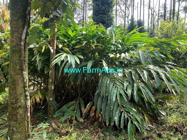 1.45 acres Farm land with farm house for sale at Attapady. Mannarkkad ...
