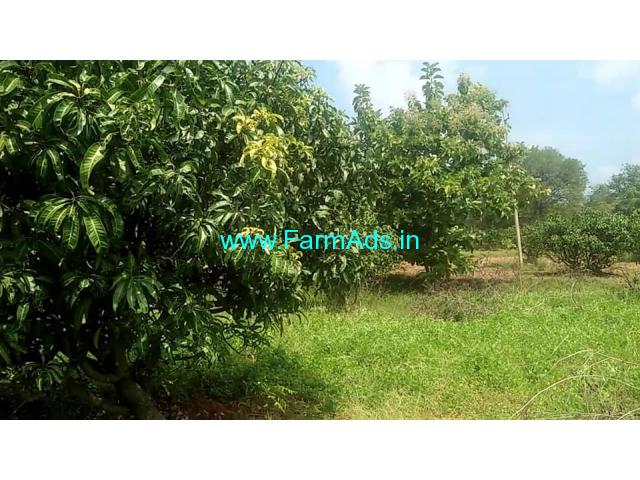 8 acre Mango farm land for sale, 10 KMS from Kanakapura Kanakapura ...