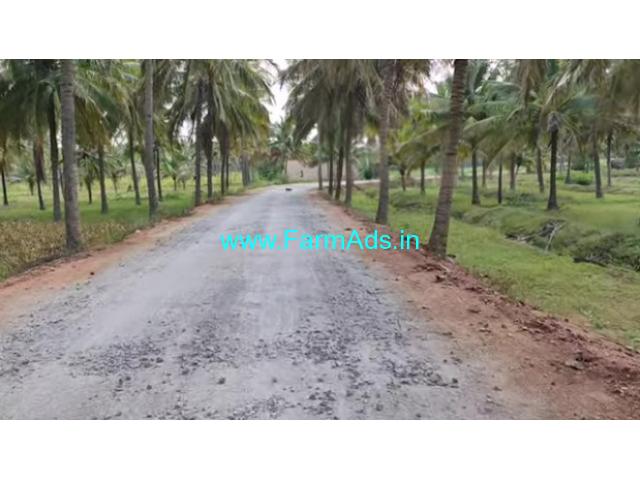 1 Acre coconut farm land for sale at Sira Taluk, Tumkur Sira - Tumkur ...