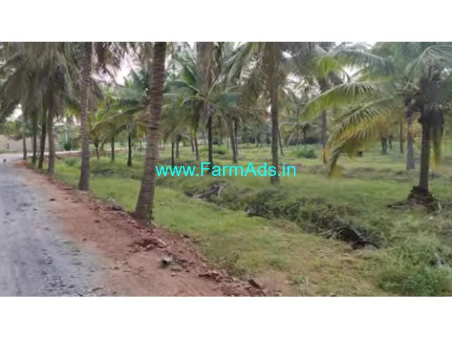 1 Acre coconut farm land for sale at Sira Taluk, Tumkur Sira - Tumkur ...