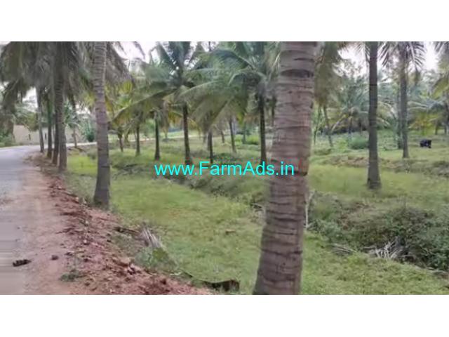 1 Acre coconut farm land for sale at Sira Taluk, Tumkur Sira - Tumkur ...
