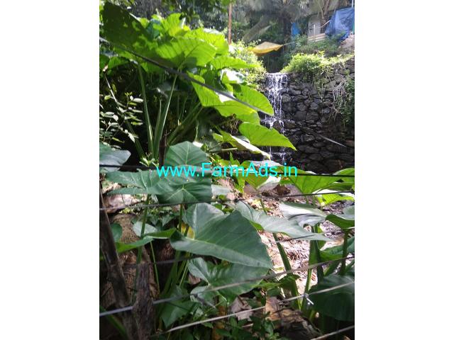 5.5 Cents Land with House for Sale at Attapady Mannarkkad - Palakkad ...