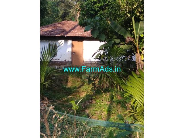 1.5 Acres Arecanut Plantation with house for Sale at Attapady ...