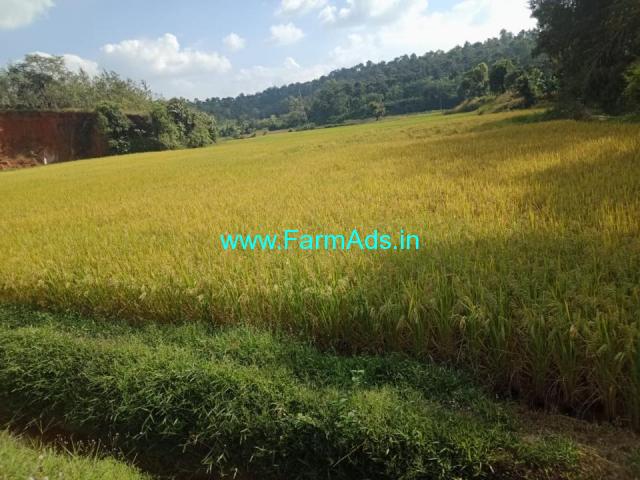 1 acre farm land for sale in sakaleshpura, Beautiful scenic view ...