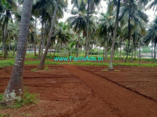 7 acres Coconut farm Land sale in Pollachi Pollachi - Coimbatore ...