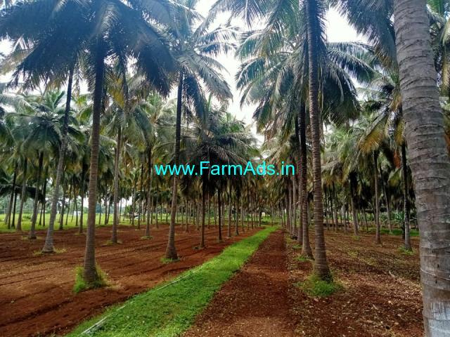 7 acres Coconut farm Land sale in Pollachi Pollachi - Coimbatore ...