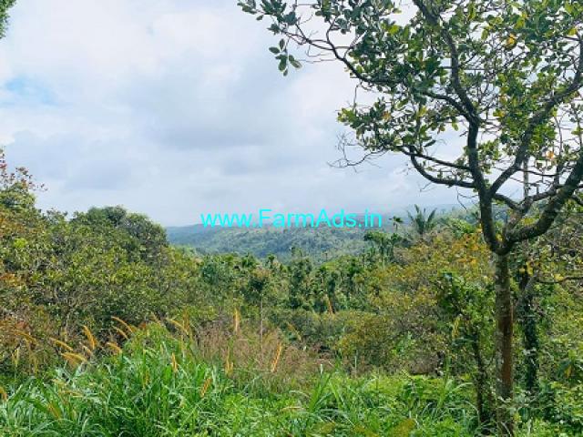 9.5 Acres Agriculture Land with Farm House For Sale at Attapady ...