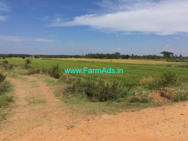 2 Acres Agriculture Land for Sale near Vidyanagar Davanagere - FarmAds.in