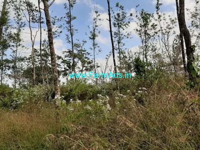 7 Acre Land for sale near Kattimoola Wayanad - FarmAds.in