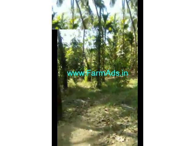 57 Cent Farm Land for Sale Near Palakkad Palakkad - FarmAds.in