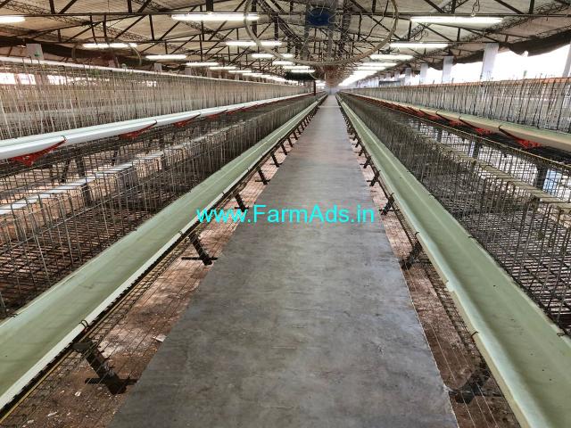 Poultry Farm For Lease with Layer Cage System Dharapuram Dharapuram ...