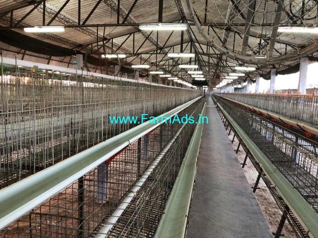 Poultry Farm For Lease with Layer Cage System Dharapuram Dharapuram ...