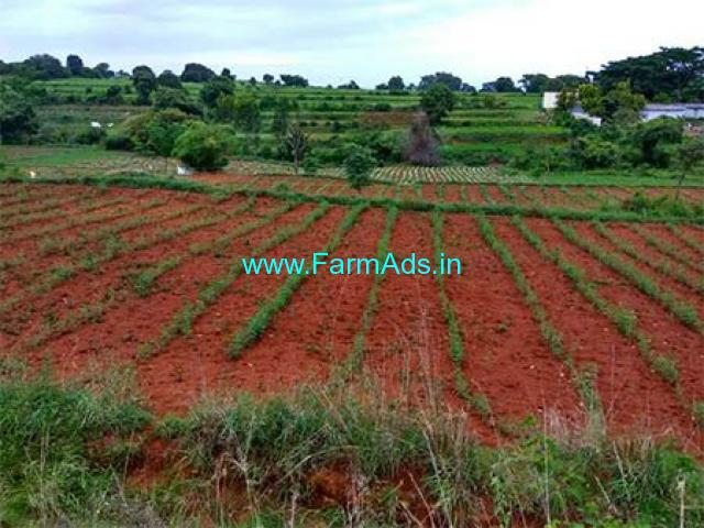 33 Acres Agricultural Land for Sale Near Denkanikottai Krishnagiri ...