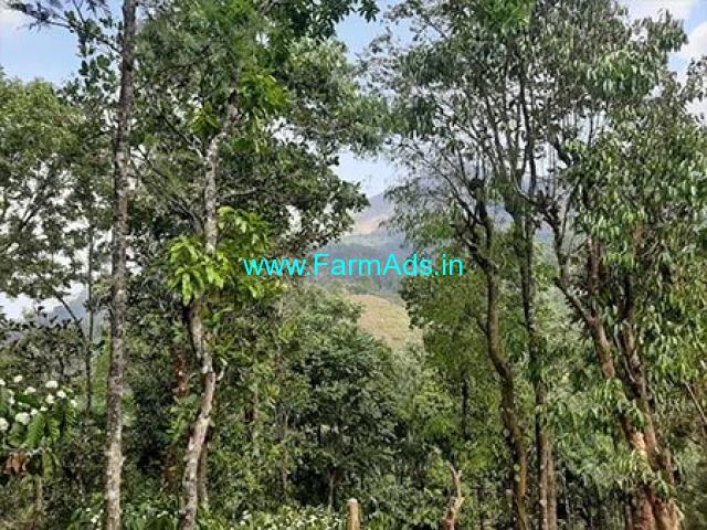 1 Acre Farm Land for Sale Near Vythiri Wayanad - FarmAds.in