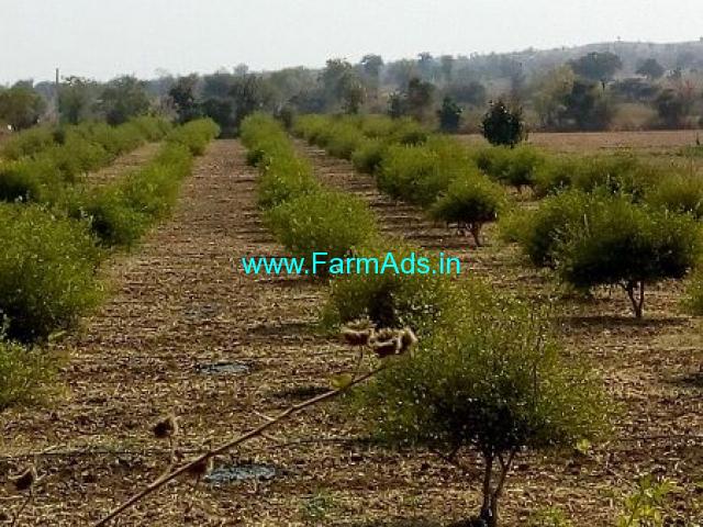 7 Acre Agriculture Land for Sale Near Rohankhed Amravati - FarmAds.in