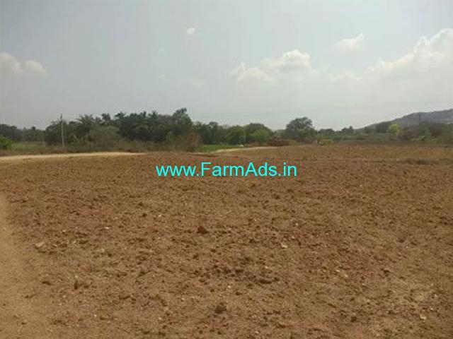 7 Acre Agriculture Land for Sale Near Nimmanapalli Chitoor - FarmAds.in