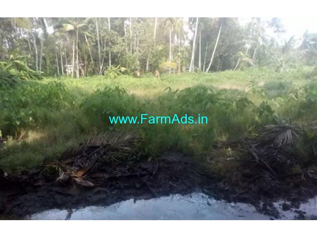 40 Cent Farm Land For Sale In Vaikom Kottayam - FarmAds.in