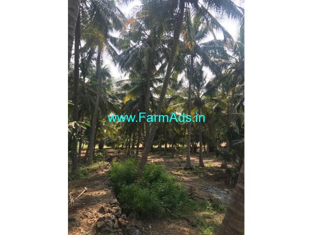 Sulur area near vavipalayam 2.5 acer coconut farm Available for sale ...