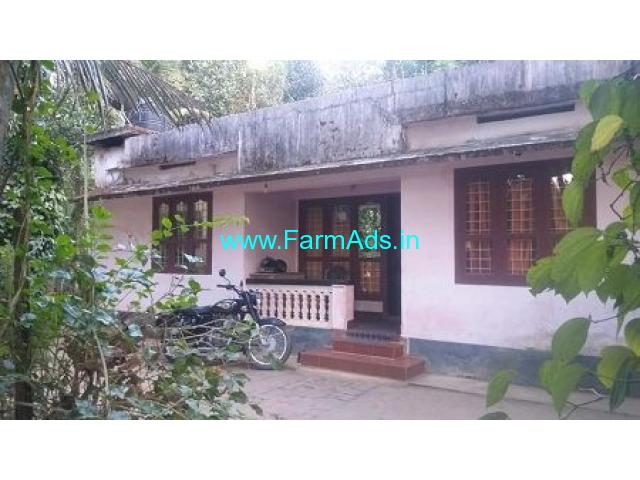 40 Cent Farm Land for Sale Near Tharuvana Wayanad - FarmAds.in