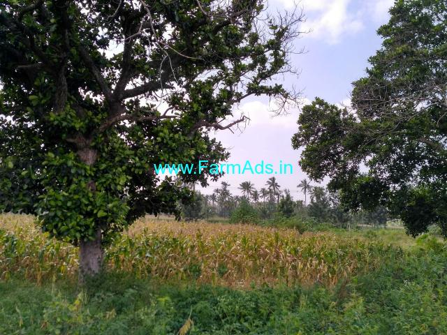 6.5 acres Farm land with house on rent Hassan Hassan - FarmAds.in