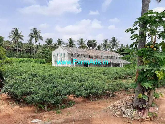 7 Acre Agriculture Land for Sale Near Gudimangalam Tiruppur - FarmAds.in