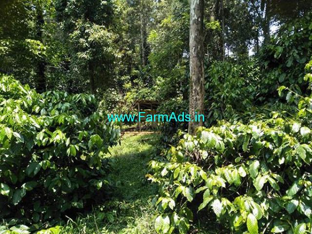 11 Acre Coffee Land for Sale Near Chikmagalur Chikmagalur ...