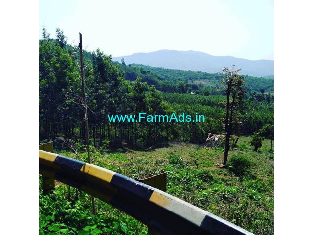20 Acre Agriculture Land for Sale Near Chikmagalur Chikmagalur ...