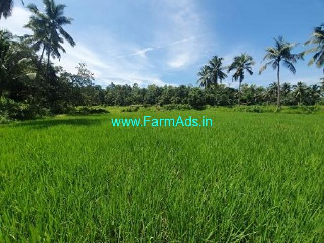 17 Acre Agriculture Land for Sale Near Udupi Udupi - FarmAds.in