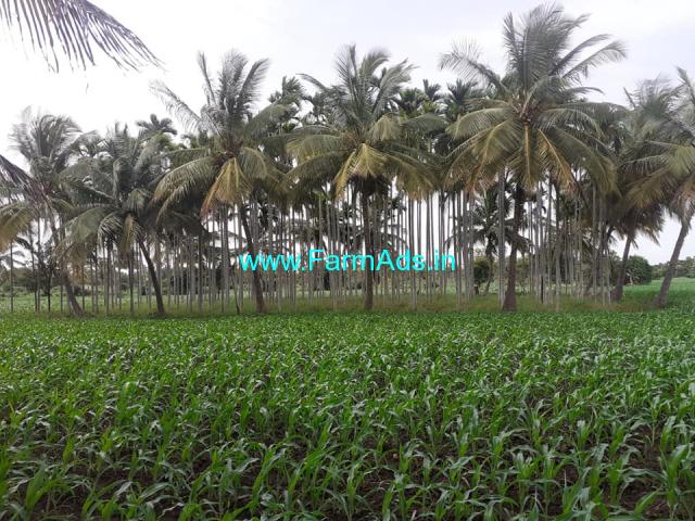 1.5 acre Adake garden for sale at Venkatapura, Koratagere Taluk ...