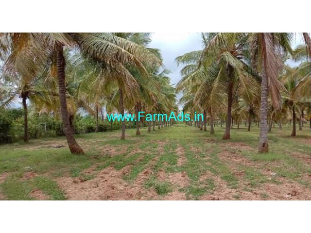 7 Acres Coconut plantation for sale at Shivapura VVS Dam Road, Hiriyur ...