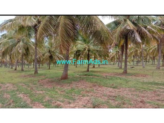 7 Acres Coconut plantation for sale at Shivapura VVS Dam Road, Hiriyur ...